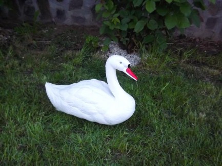 Lebada de piscina - artizanat-cadouri.ro
